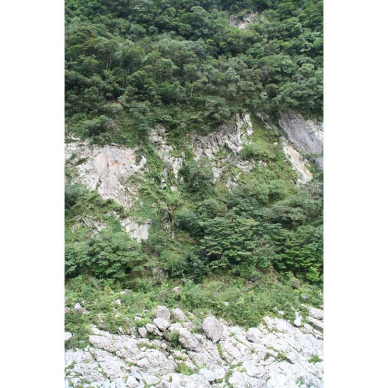 P0327 – sozaiya.com