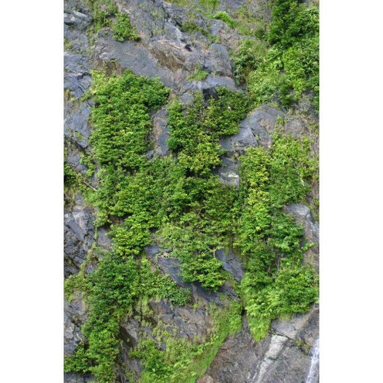 その他 – sozaiya.com