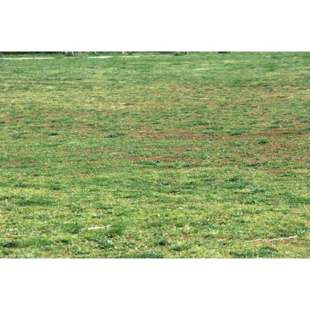 その他 – sozaiya.com