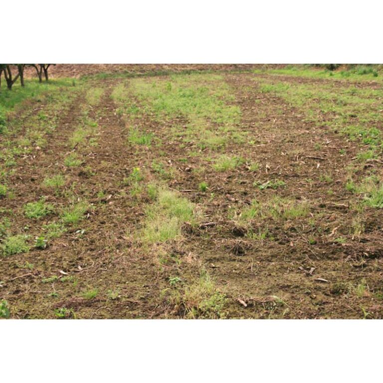 その他 – sozaiya.com