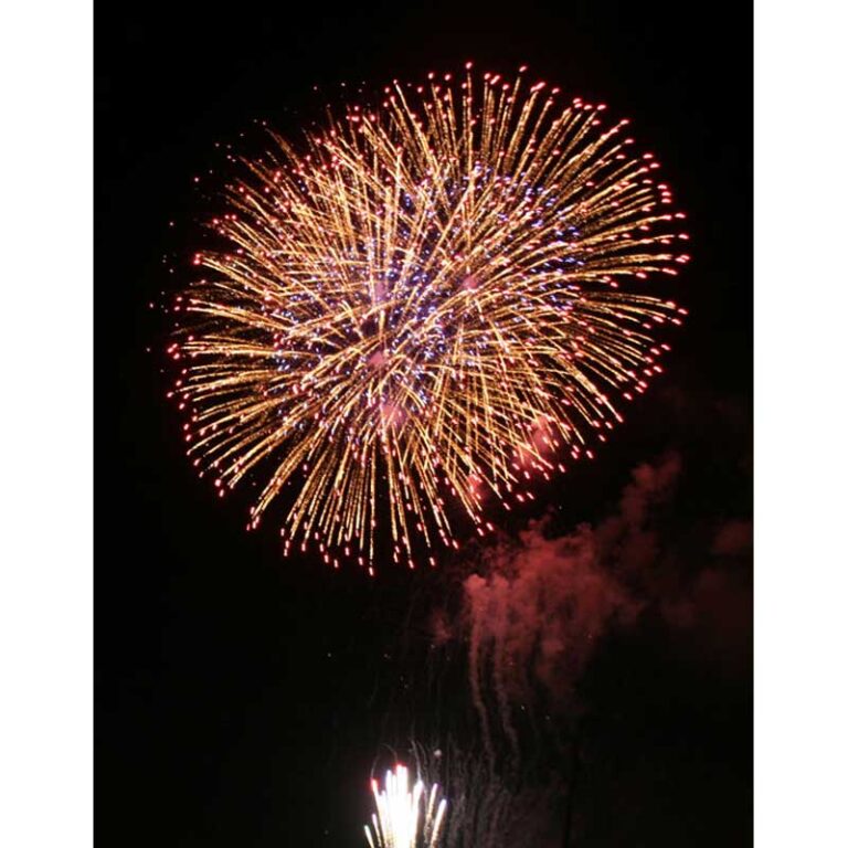 P0342 – sozaiya.com