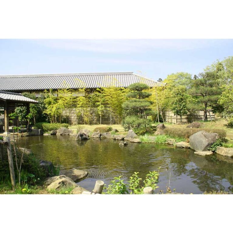 P0354 – sozaiya.com