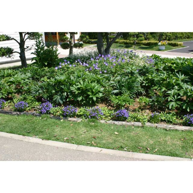 無料データ – ページ 9 – sozaiya.com