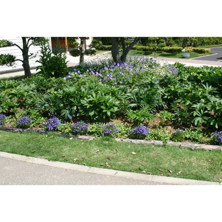 その他 – sozaiya.com