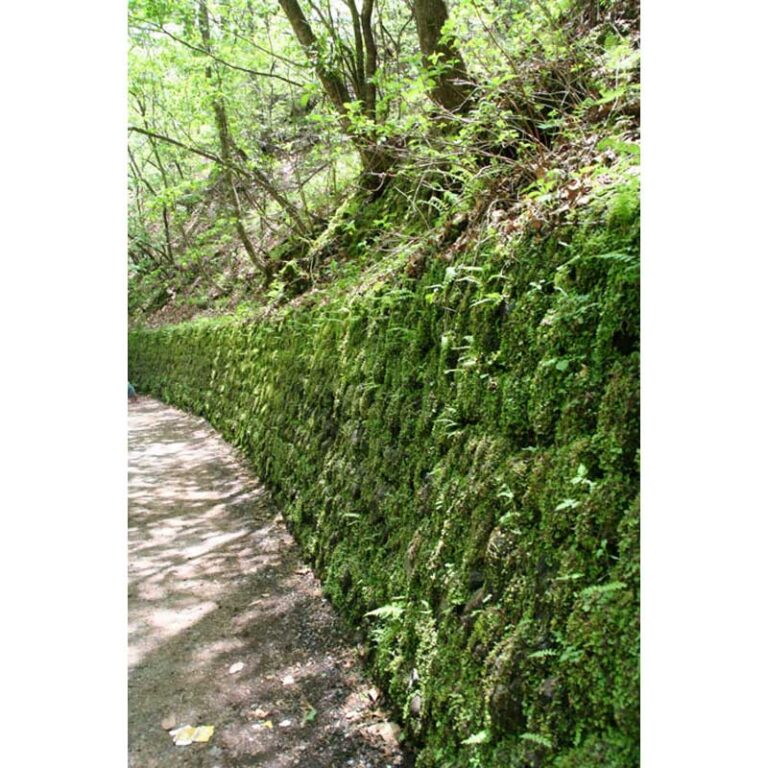 無料データ – ページ 9 – sozaiya.com