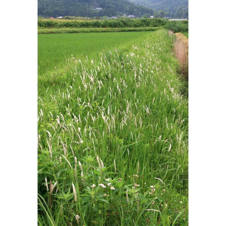 無料データ – ページ 9 – sozaiya.com