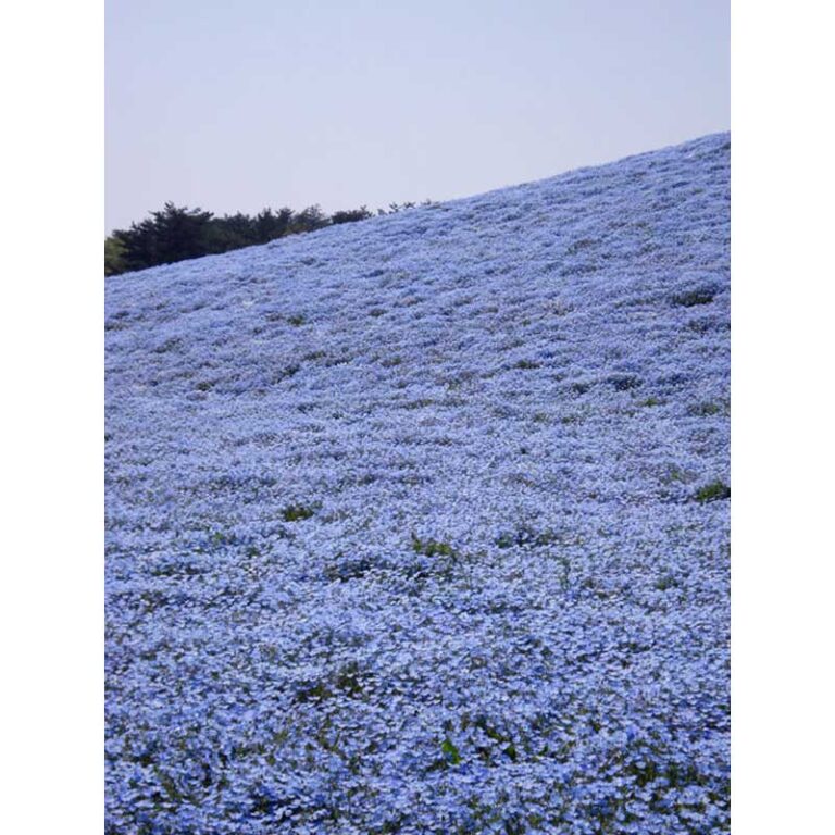 無料データ – ページ 9 – sozaiya.com