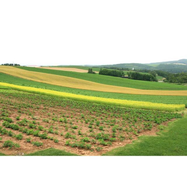 無料データ – ページ 9 – sozaiya.com