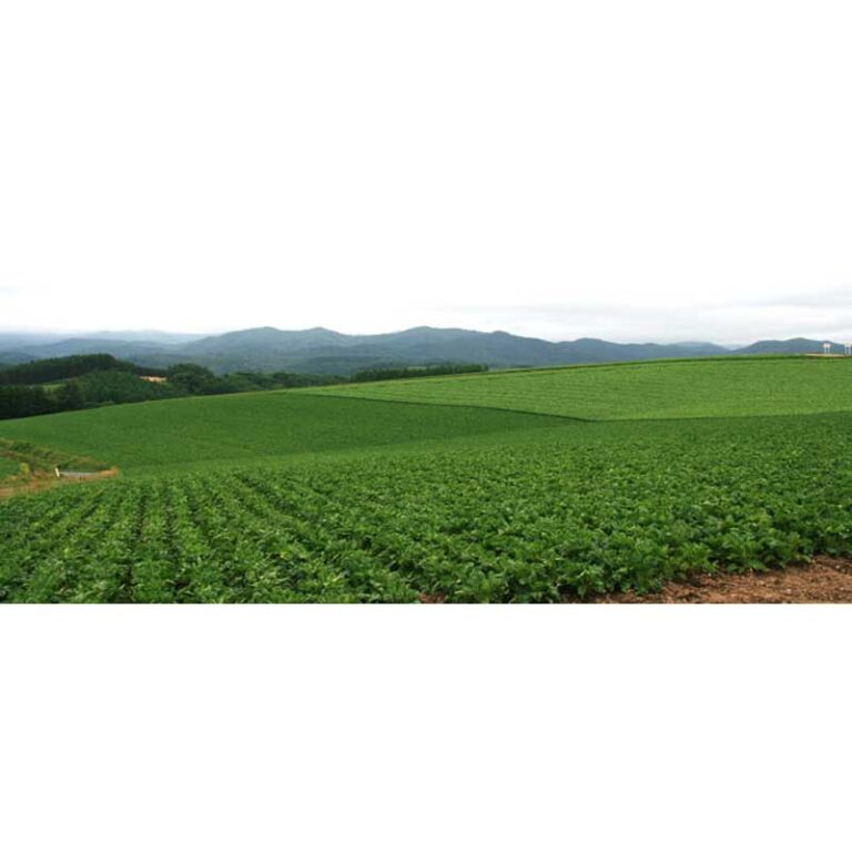 その他 – sozaiya.com