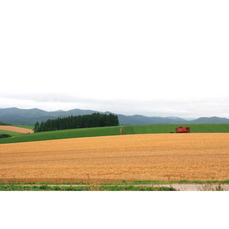 その他 – sozaiya.com