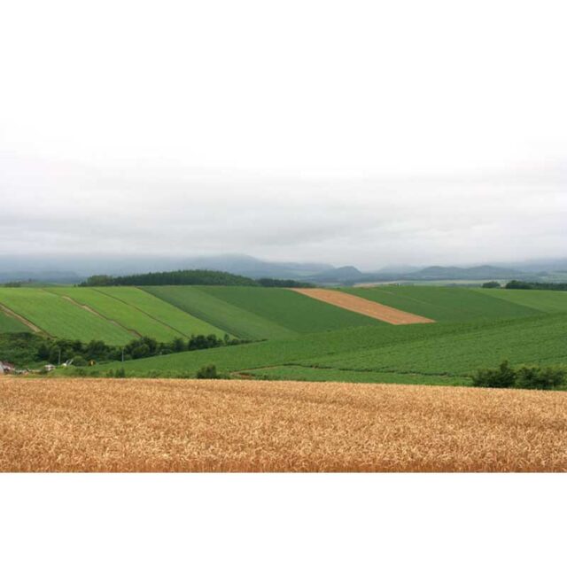 P0379 – sozaiya.com