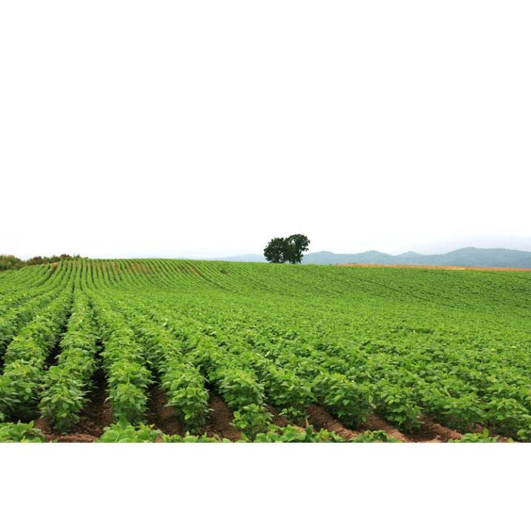 P0380 – sozaiya.com