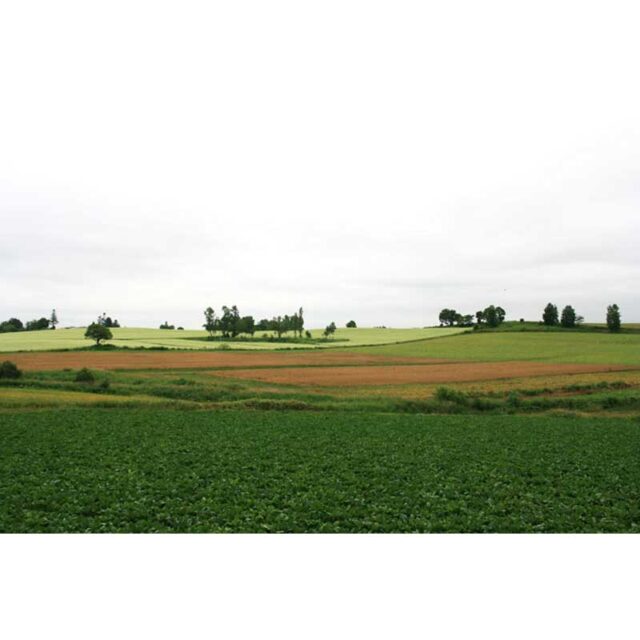 P0381 – sozaiya.com