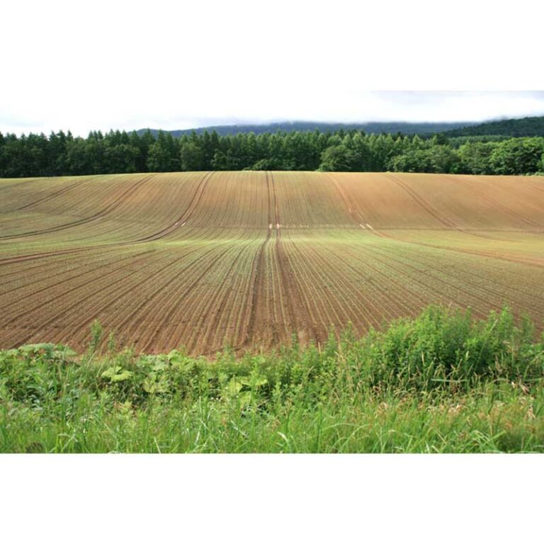 P0384 – sozaiya.com