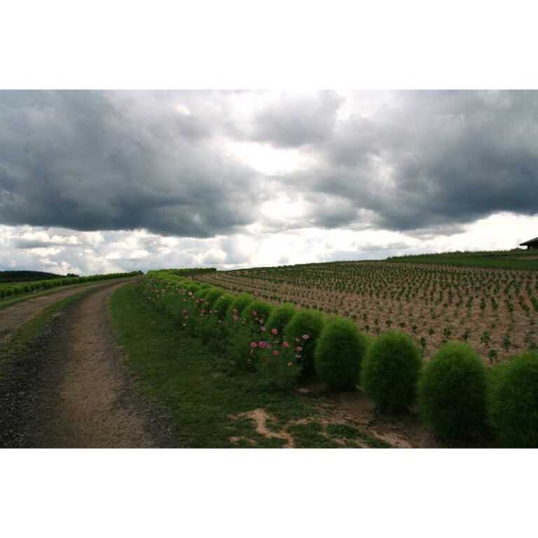 その他 – sozaiya.com