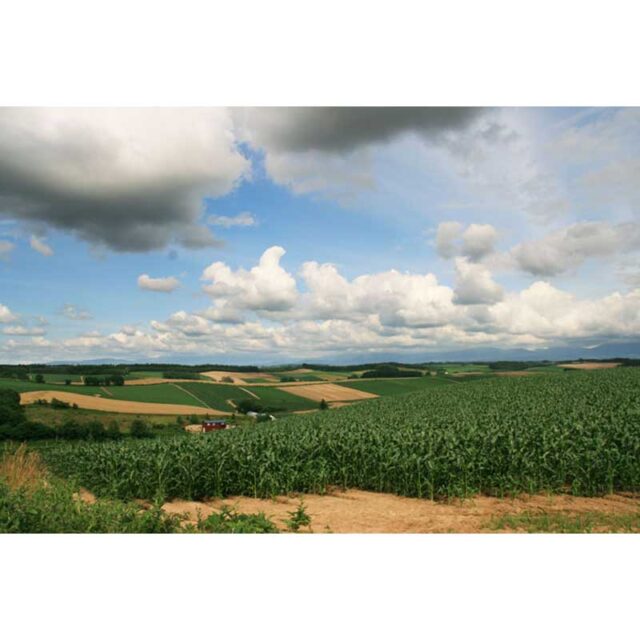 P0388 – sozaiya.com