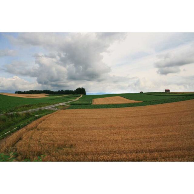 P0389 – sozaiya.com