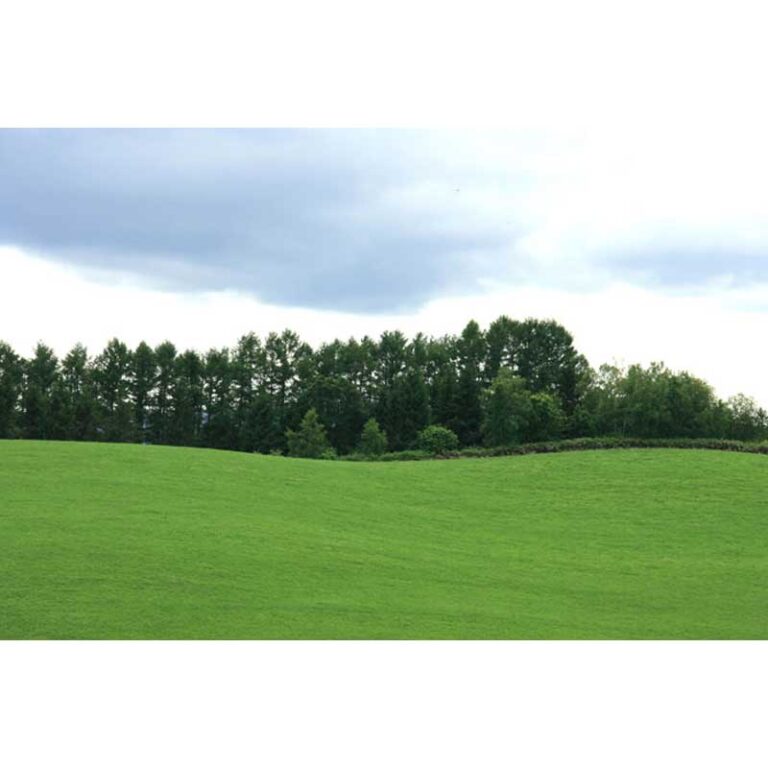 その他 – ページ 3 – sozaiya.com