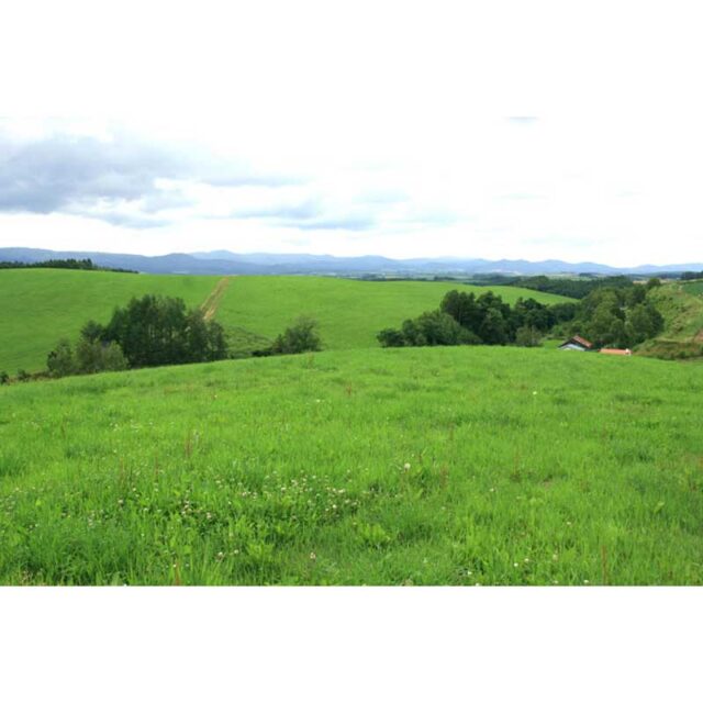 P0392 – sozaiya.com