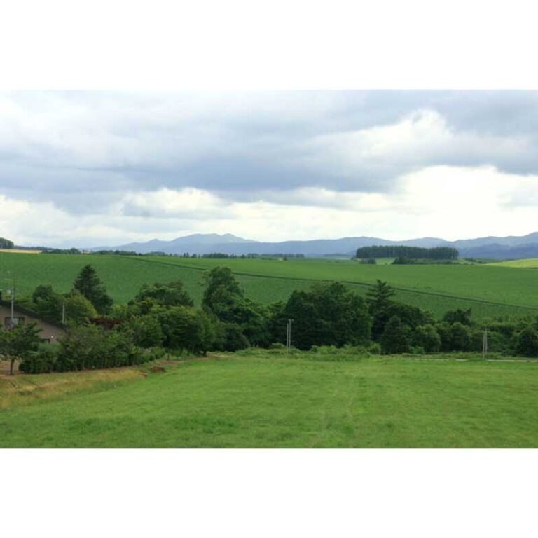 その他 – sozaiya.com