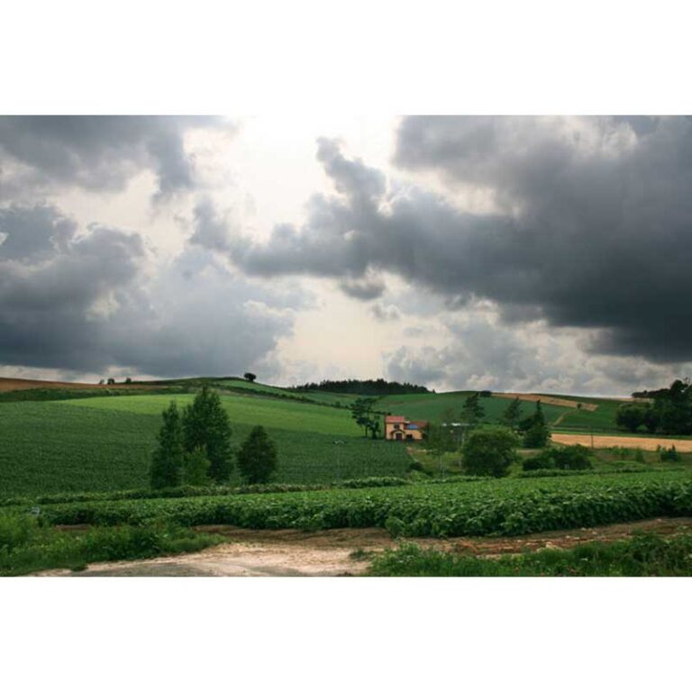 その他 – sozaiya.com