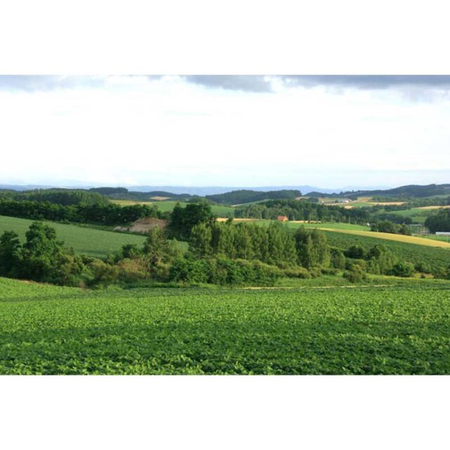 その他 – sozaiya.com