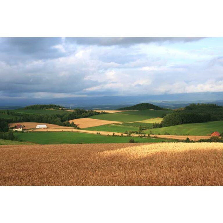 P0404 – sozaiya.com