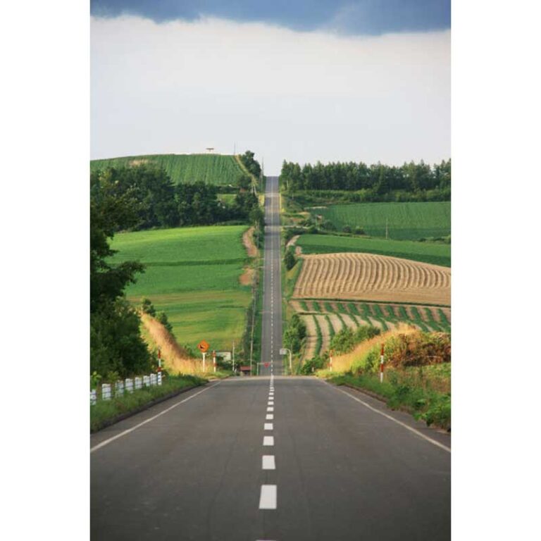 その他 – ページ 2 – sozaiya.com