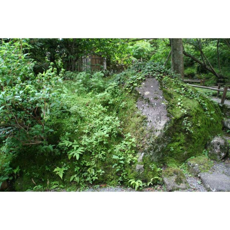 その他 – sozaiya.com