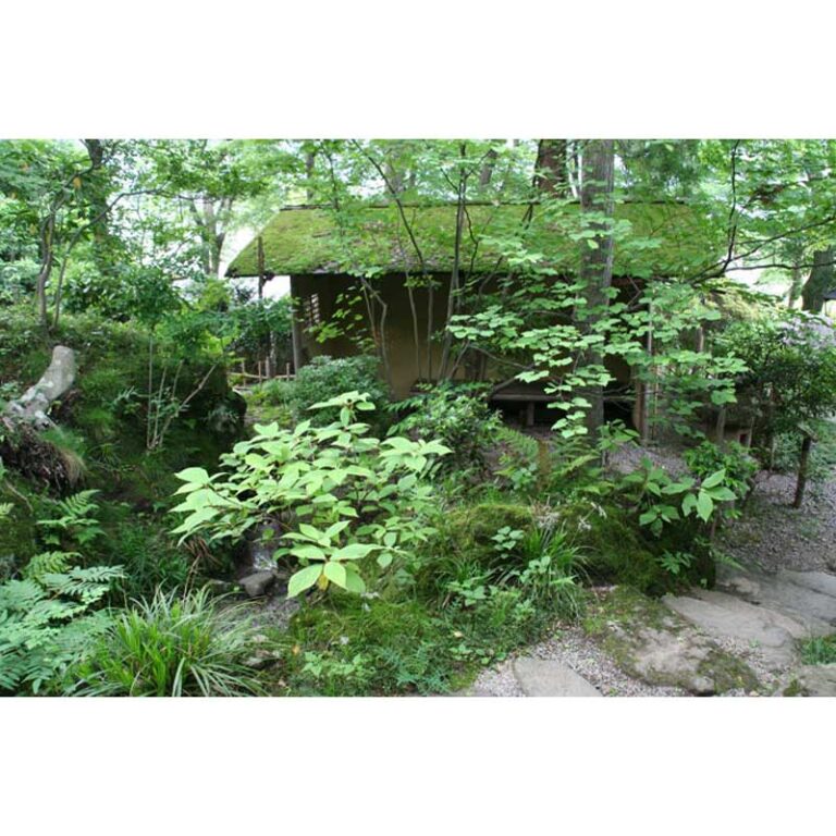 その他 – sozaiya.com