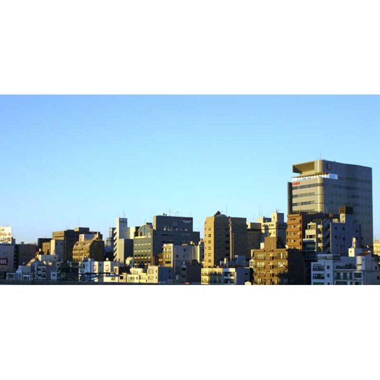 P0418 – sozaiya.com