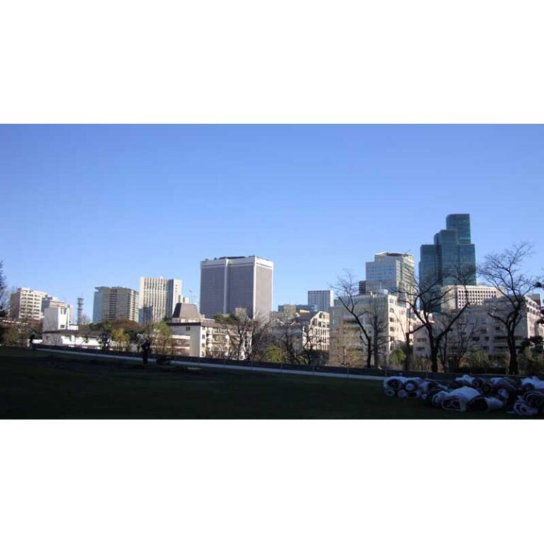 P0425 – sozaiya.com