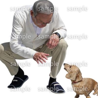 R_493 – sozaiya.com