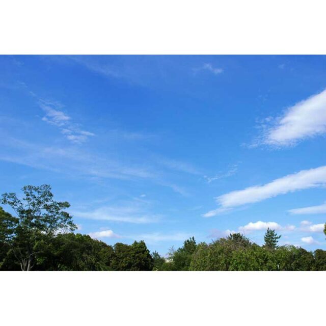 空素材 – sozaiya.com