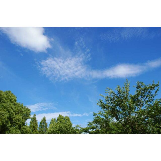 空素材 – sozaiya.com