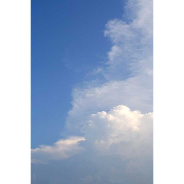 空素材 – sozaiya.com