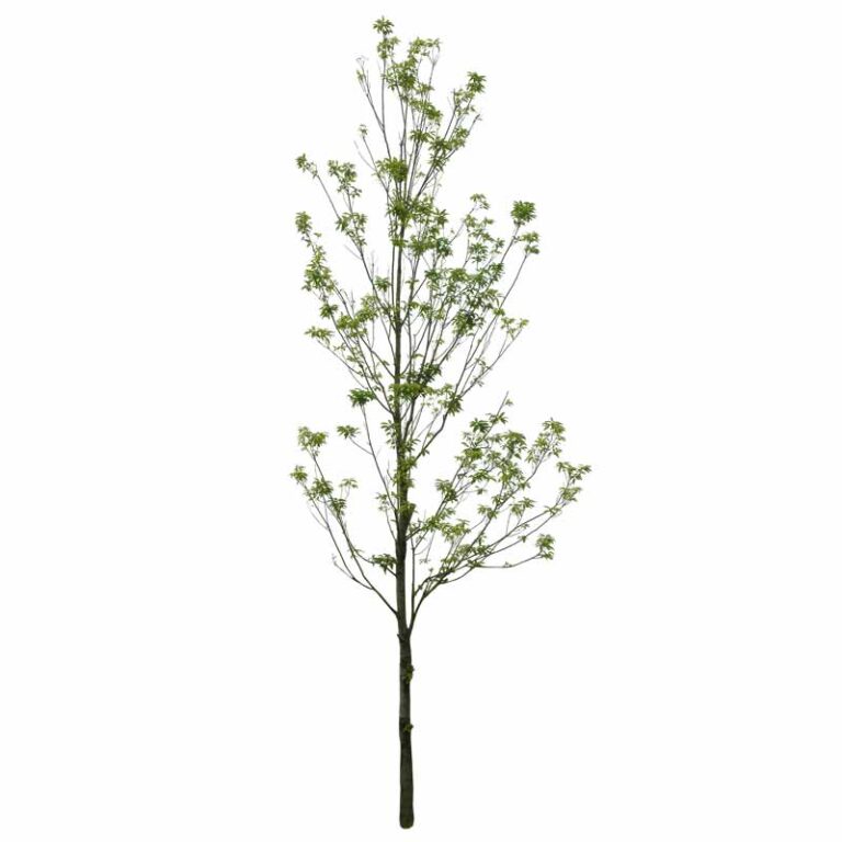 T1_026 – sozaiya.com