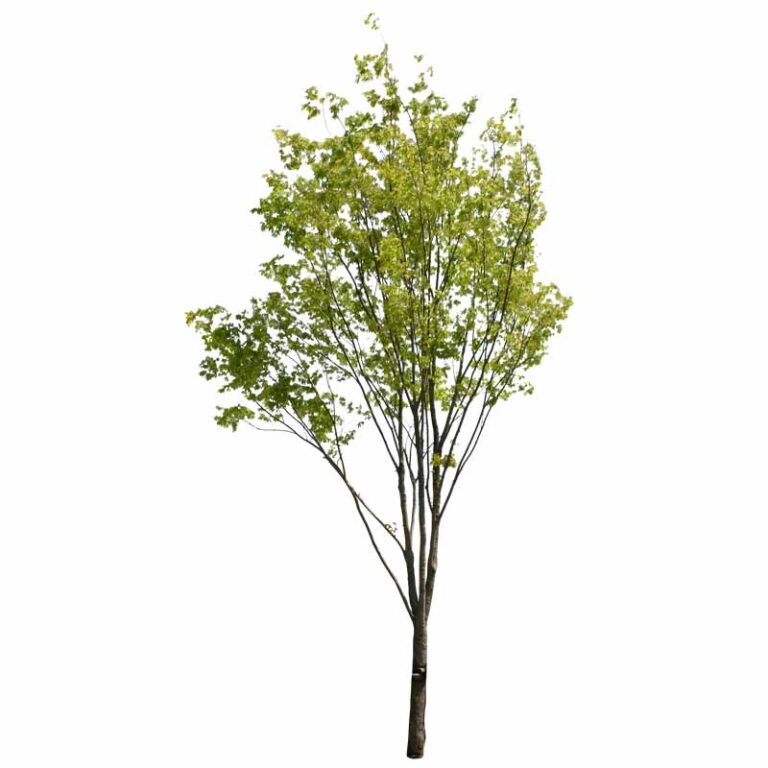 T1_027 – sozaiya.com