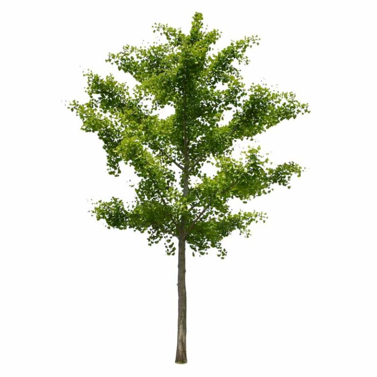 T1_070 – sozaiya.com