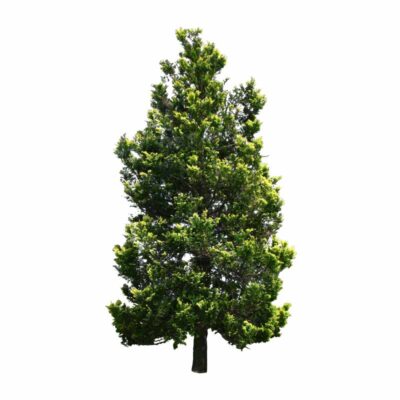 2t22 – sozaiya.com