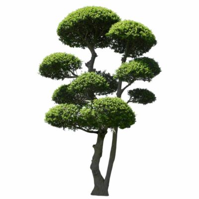 T1_089 – sozaiya.com