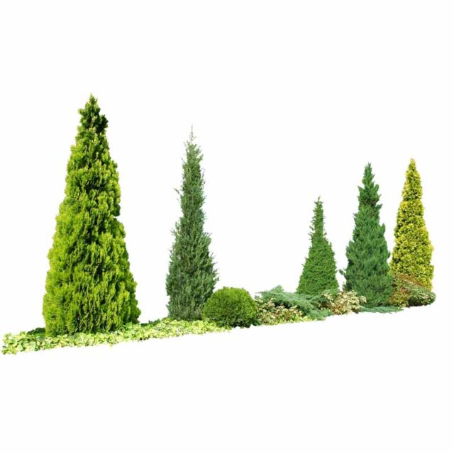 T1_091 – sozaiya.com