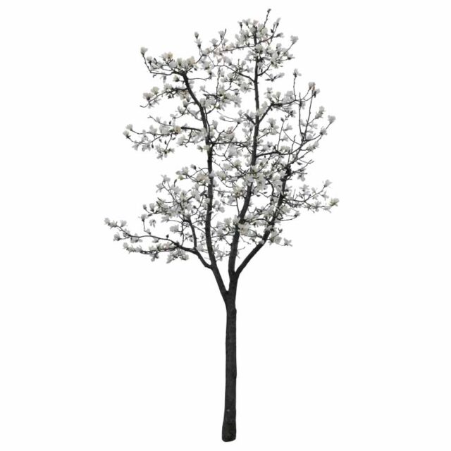 無料データ – ページ 13 – sozaiya.com