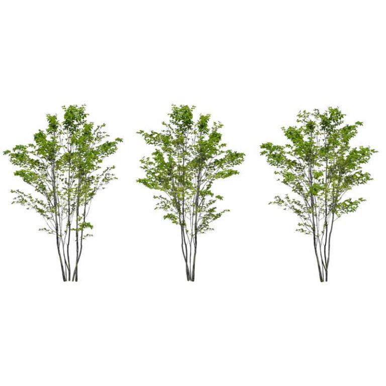 T1_094 – sozaiya.com