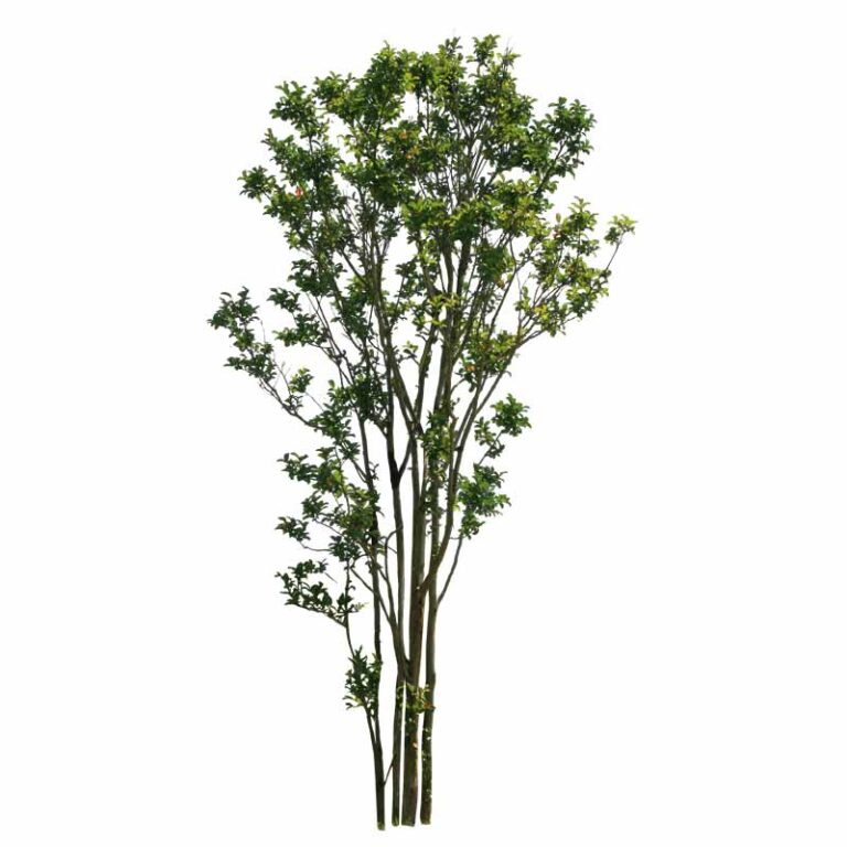 T1_098 – sozaiya.com