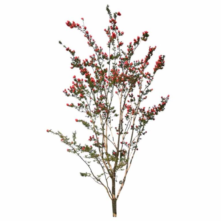 T1_108 – sozaiya.com