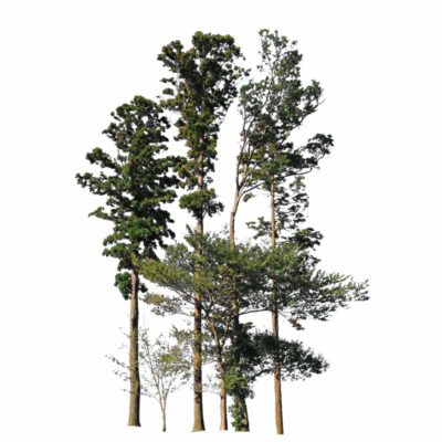 2t36 – sozaiya.com