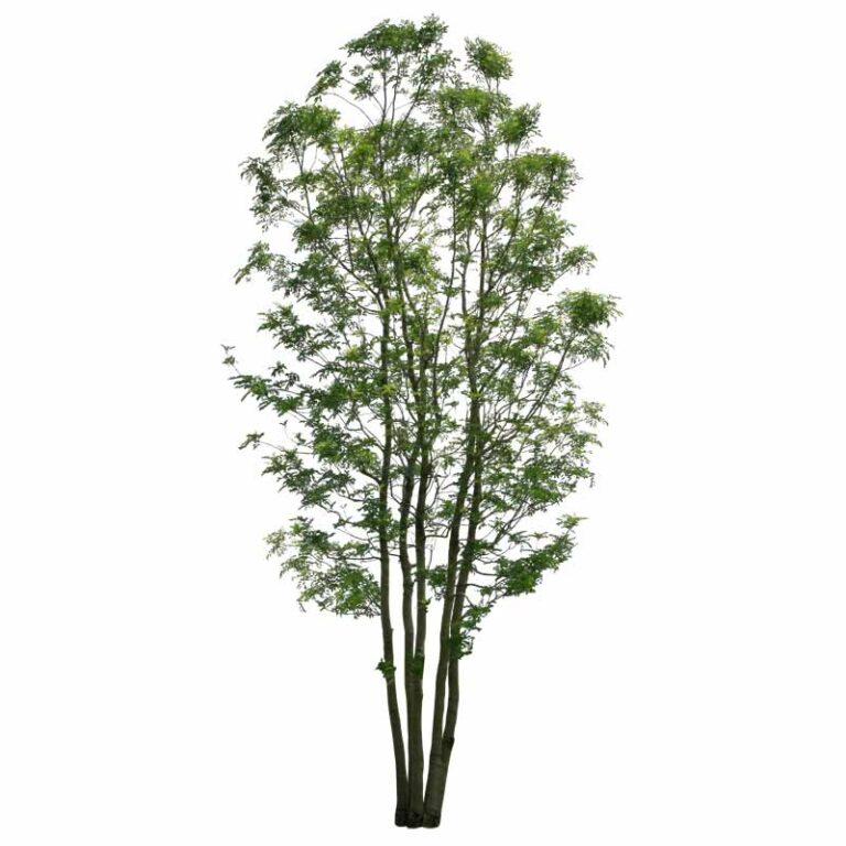 T1_048 – sozaiya.com