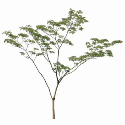 T1_134 – sozaiya.com