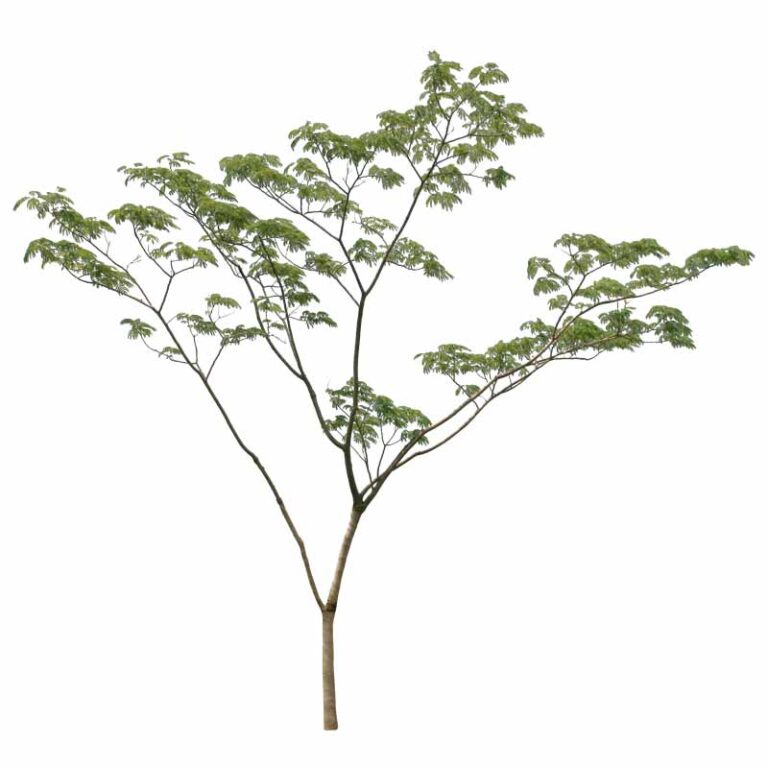 T1_138 – sozaiya.com